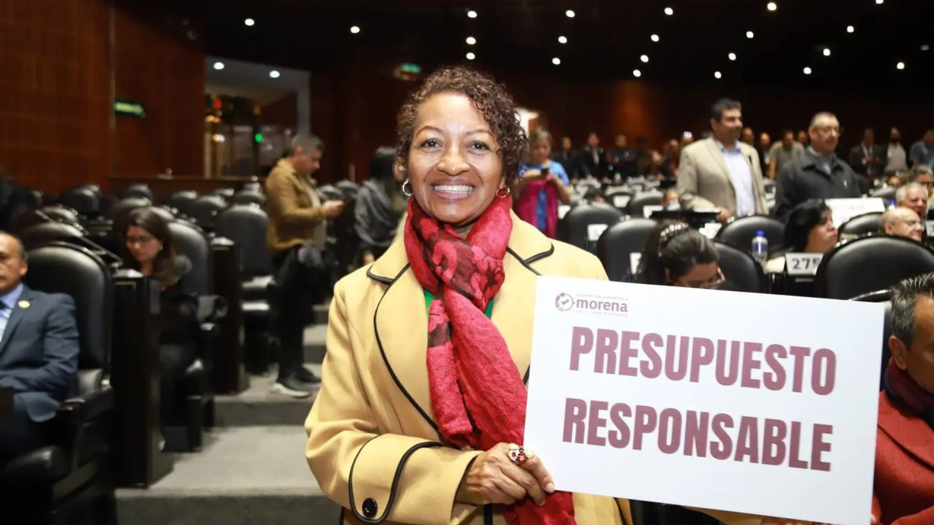 Rosa María Castro - Diputada Federal Afromexicana